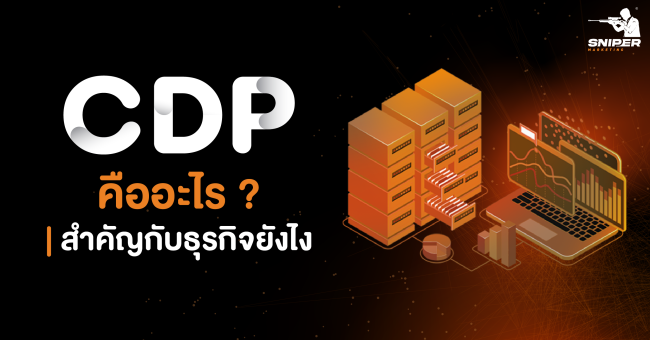 CDP คืออะไร สำคัญกับธุรกิจยังไง - Sniper Digital Marketing & Marketing Technology Partner